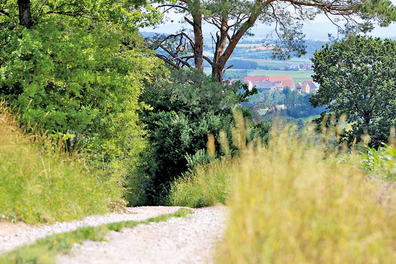 Naturparktag im Steigerwald